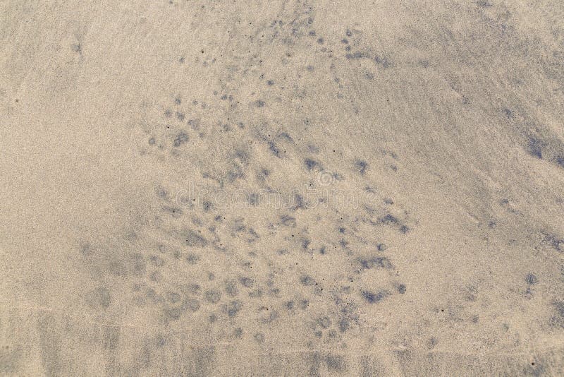 Wet sand patterns stock image. Image of droplets, simple - 102307489