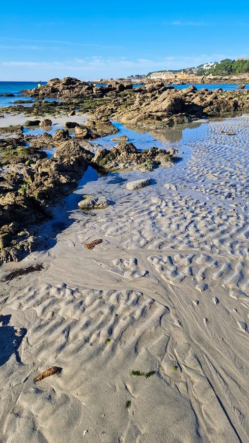 Wet Sand and Rocks by the Sea Stock Image - Image of ocean, landscape ...