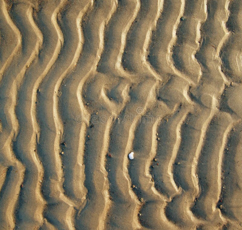 Wet sand surface. stock image. Image of ecology, textured - 65662133