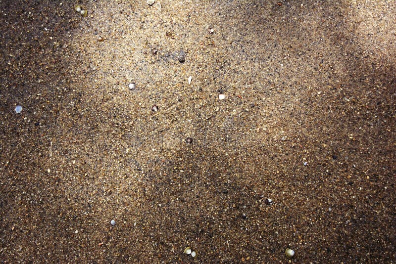 Wet Sand Texture Background Stock Photo - Image of coastline, abstract: 127035180