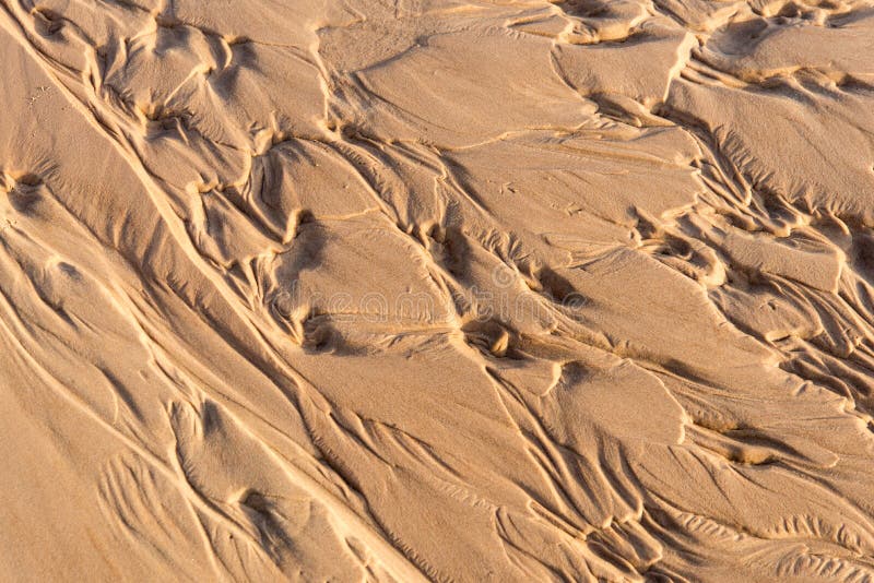 Wet sand texture stock photo. Image of background, grained - 45598048