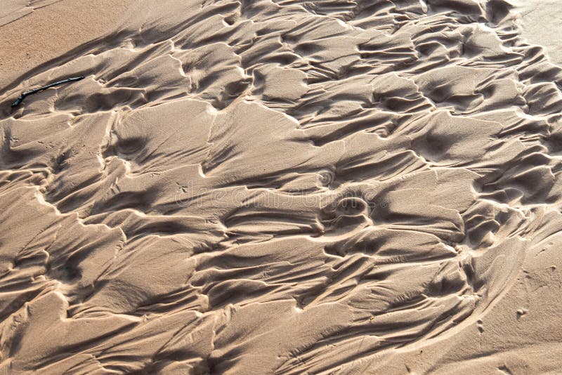 Wet sand texture stock photo. Image of grains, summer - 45598052