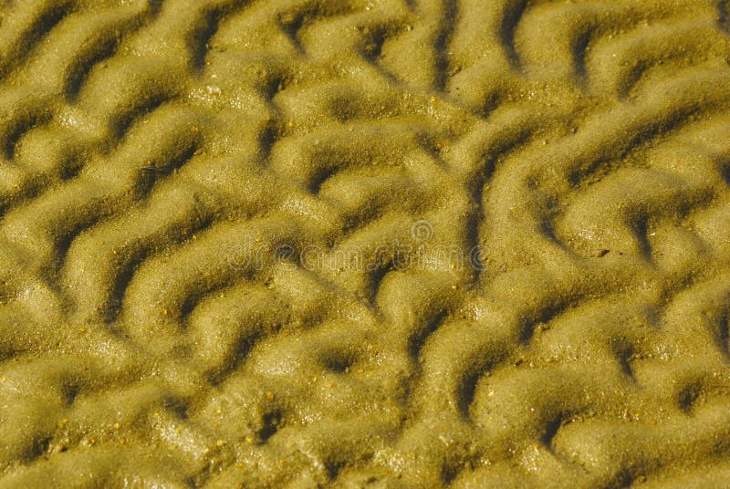 Wet sand wave pattern stock image. Image of golden, patterns - 11364927