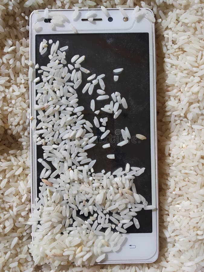 Wet Smartphone in Rice stock photo. Image of design - 185296092