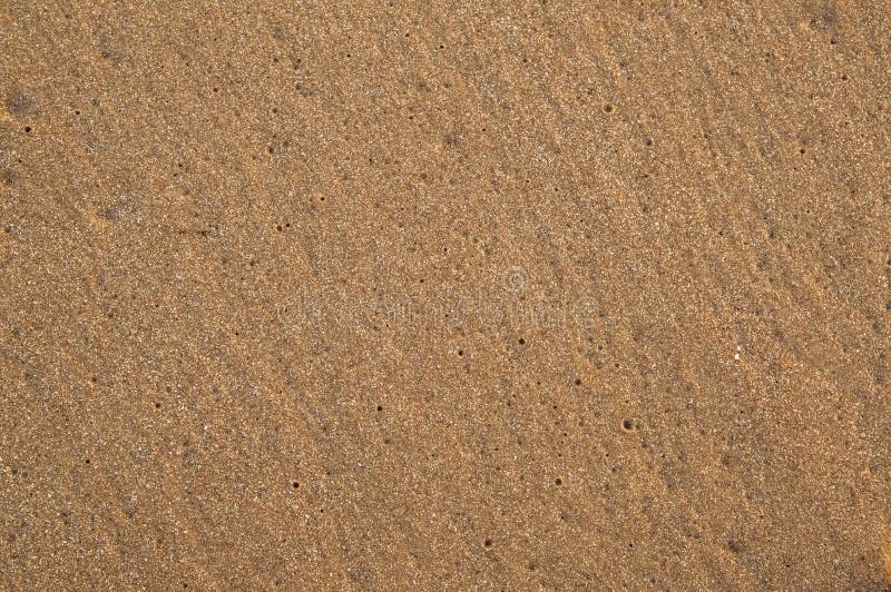 Wet Smooth Sand on the Seashore Stock Image - Image of seashore ...