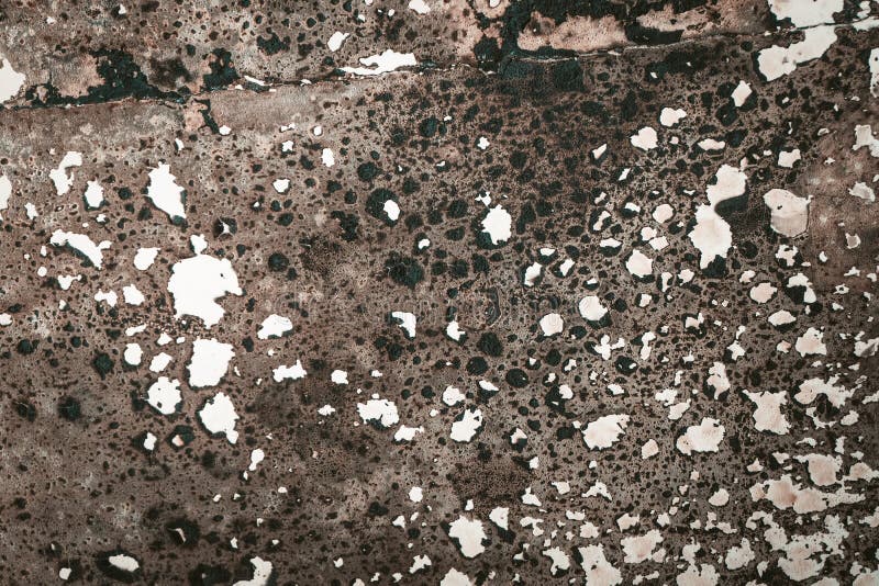 Wet Snow Paving Stone. Rocky Textured Surface. Texture Tiles Stock ...