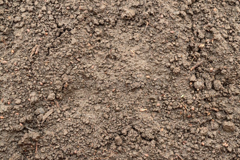 Wet Soil Close Up. Background Stock Image - Image of nature, black ...