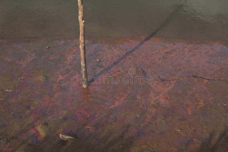 Wet soil stock image. Image of color, soaking, soggy - 56519943