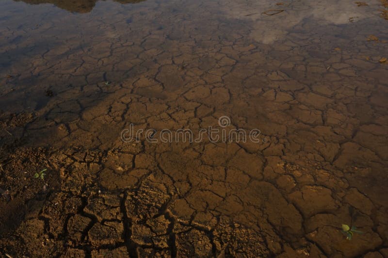 Wet Soil Texture on the Edge of the Lake Stock Image - Image of ...