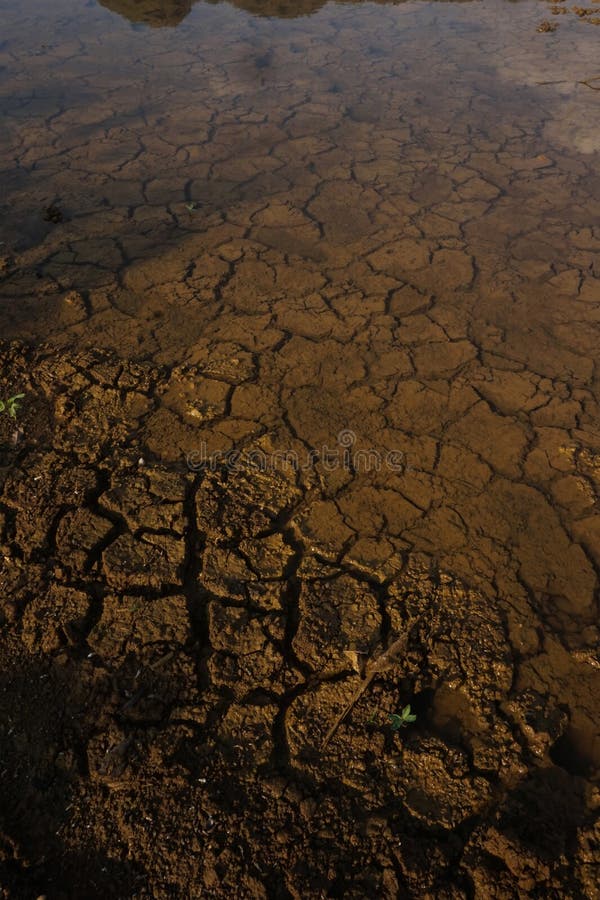 Wet Soil Texture on the Edge of the Lake Stock Photo - Image of color ...