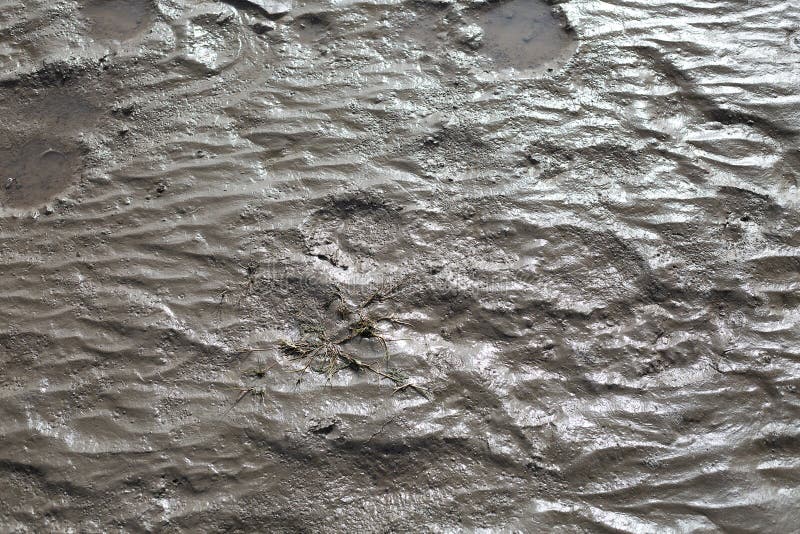 Soil Textured Surface Under Bright Sunlight Seamless Stock Image ...