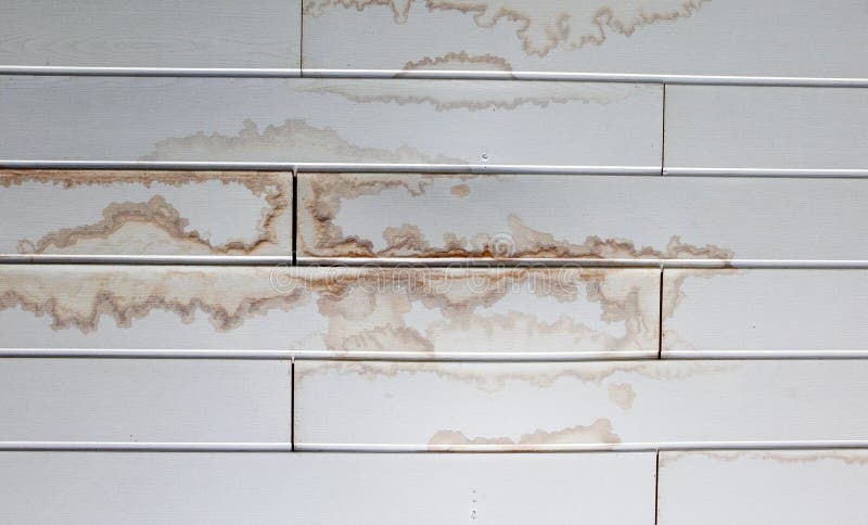 53,497 Wet Stain Stock Photos - Free & Royalty-Free Stock Photos from ...