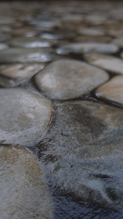 Wet stone floor in morning stock image. Image of snack - 253524061