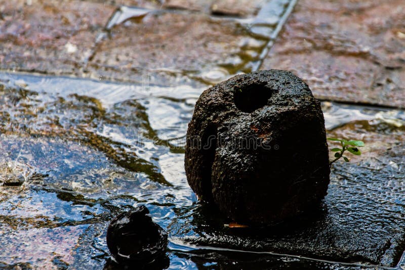 Wet Stone on the Floor after Raining Texture Background. Stock Image ...
