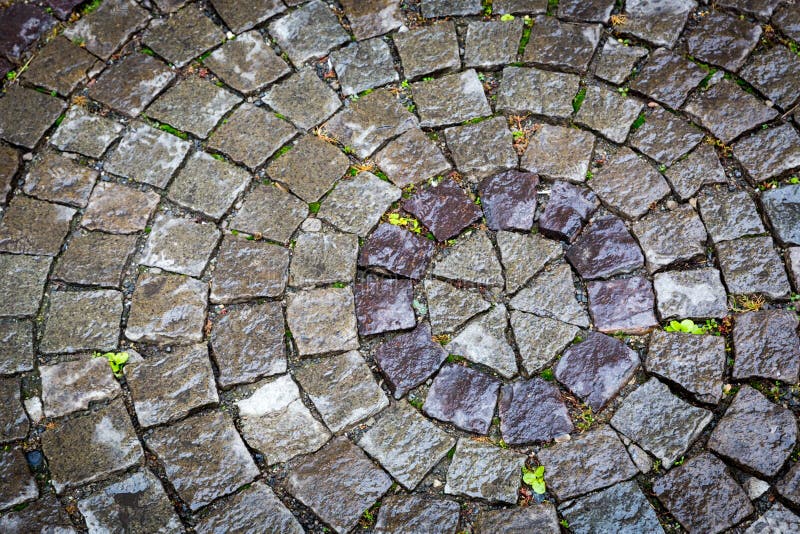 Wet stone pavement surface stock photo. Image of closeup - 164233760