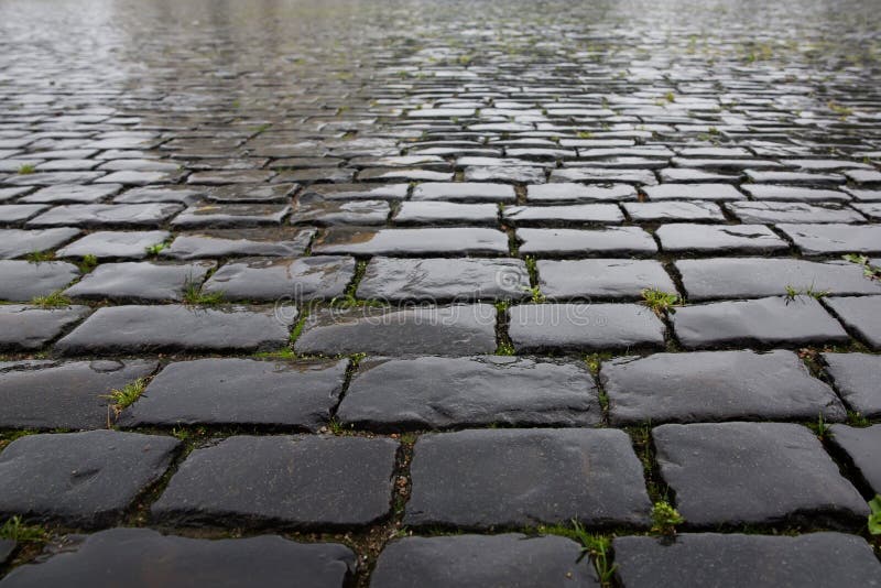 Wet stone pavement texture stock photo. Image of material - 100426052
