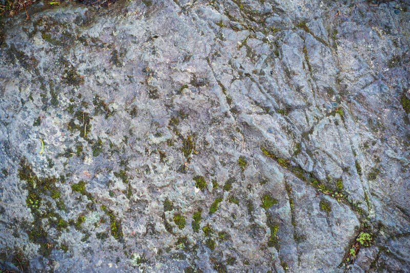 Wet stone texture stock photo. Image of forest, granite - 164432870