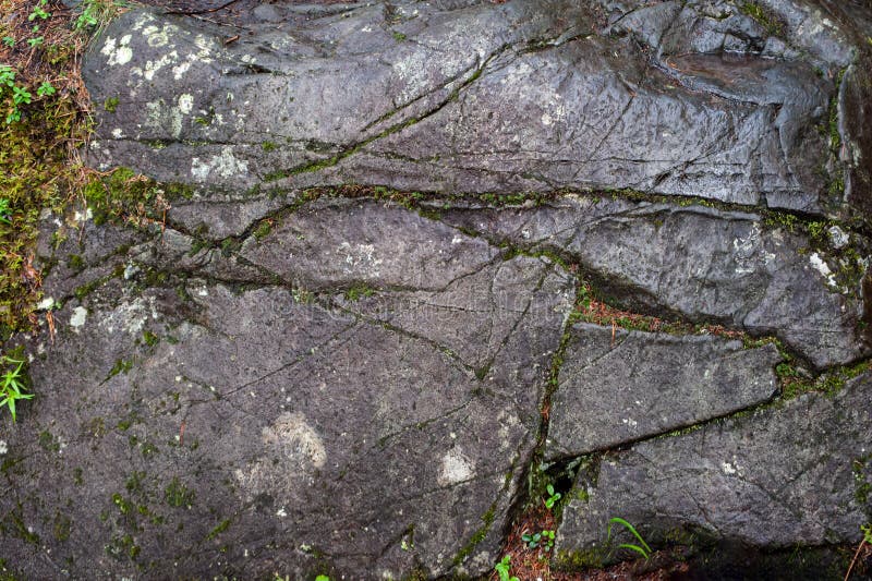 Wet stone texture stock image. Image of earth, damp - 180772741