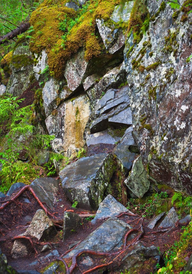Wet stone texture stock image. Image of beautiful, mossy - 182571789