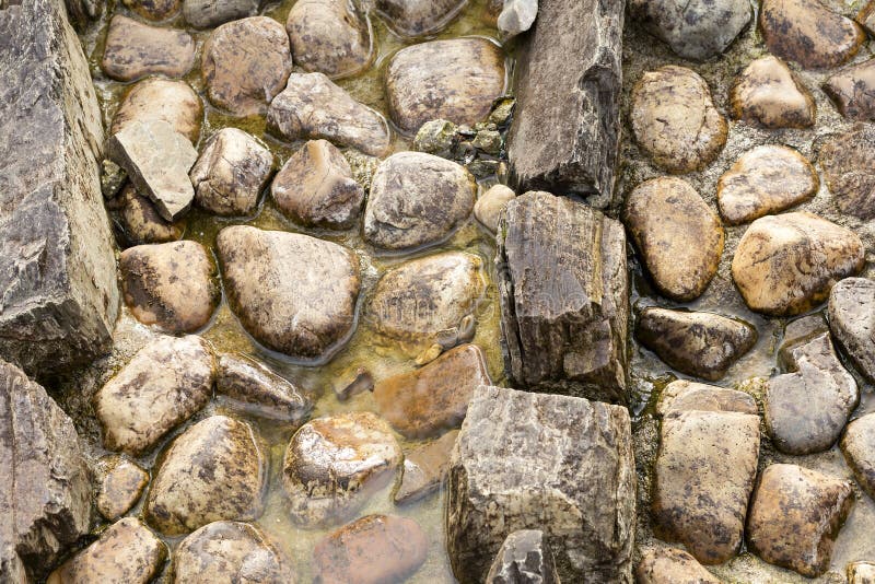 Wet Stones in the Bottom of an Artificial Dry River. Texture Background ...