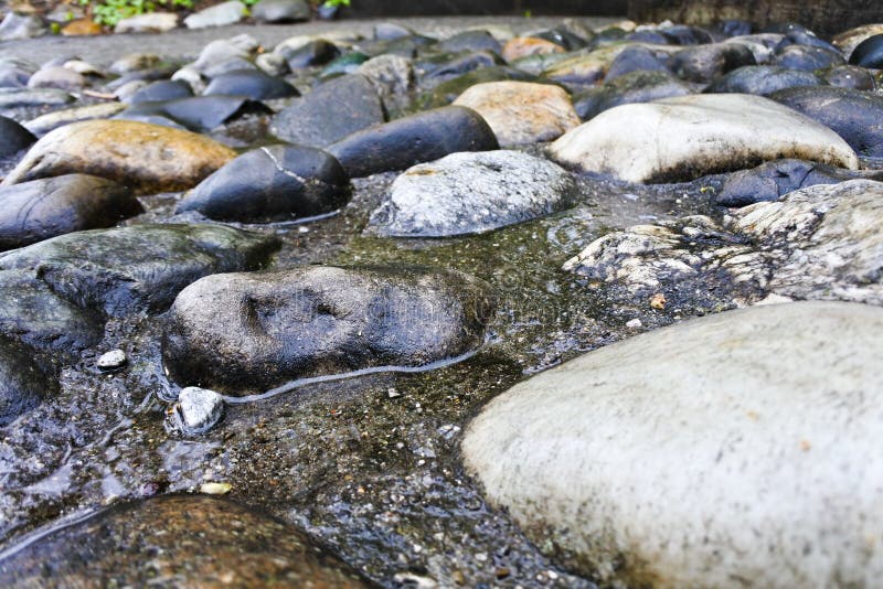 Wet stones after the rain. stock photo. Image of erie - 91558108