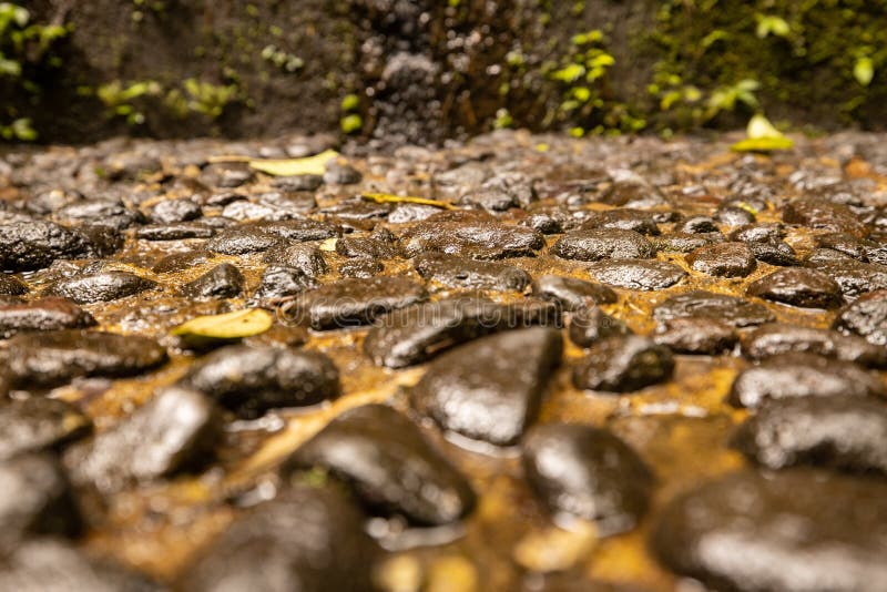 Wet Stones. Texture Background. Selected Art Focus. Blurred Foreground ...
