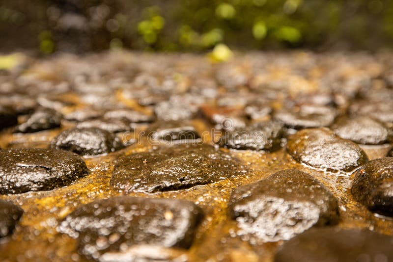 Wet Stones. Texture Background. Selected Art Focus. Blurred Foreground ...