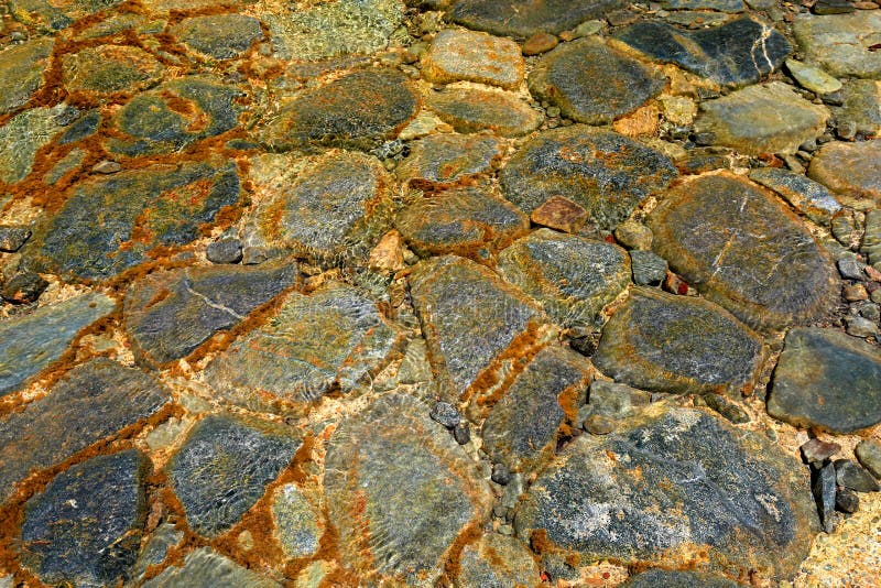 Wet stones in water stock image. Image of river, mediterranean - 72197535