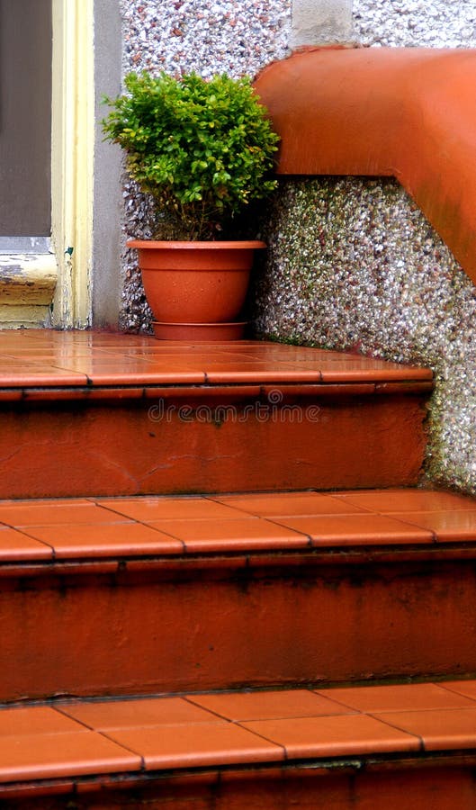 Wet Terra Cotta Tile Steps stock image. Image of rain - 1209593