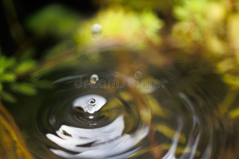 Wet Texture of a Waterdrop Dropping on a Water Surface Stock Image ...