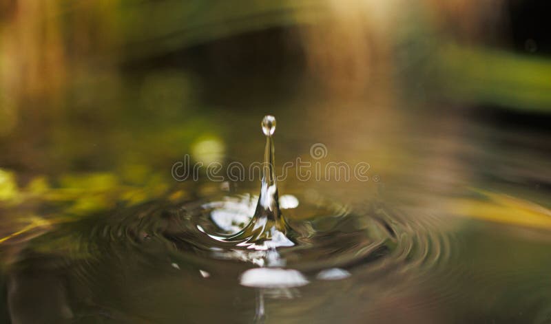 Wet Texture of a Waterdrop Dropping on a Water Surface Stock Image ...