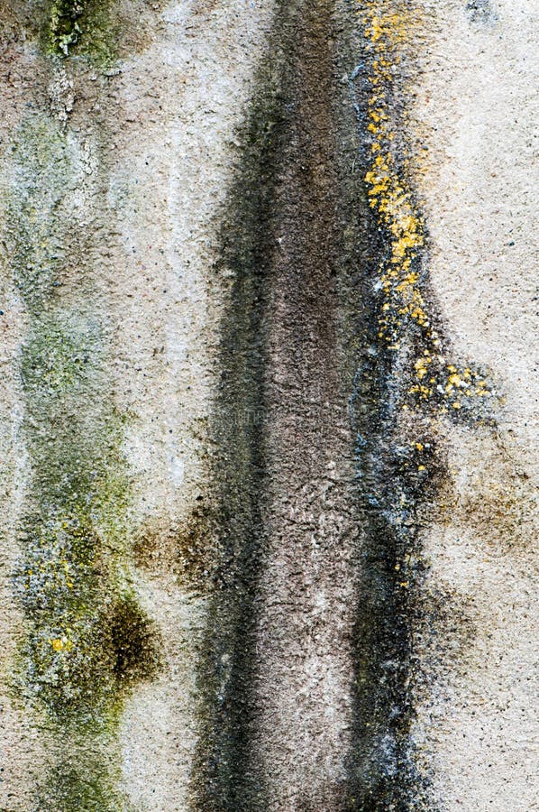 Wet wall stock photo. Image of architecture, cold, stain - 28763008
