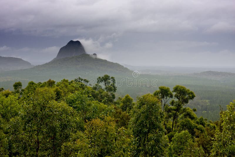 Wet Wilderness stock photo. Image of vegetation, wilderness - 19404894