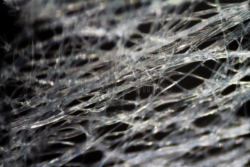 109 Fabric Under Microscope Stock Photos - Free & Royalty-Free Stock ...