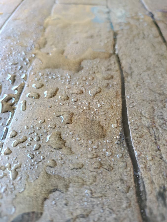 Wet Wood stock image. Image of cuisine, icing, flooring - 225882931