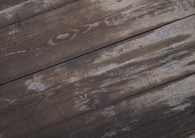 Wet wood texture stock image. Image of liquid, outdoor - 33383181