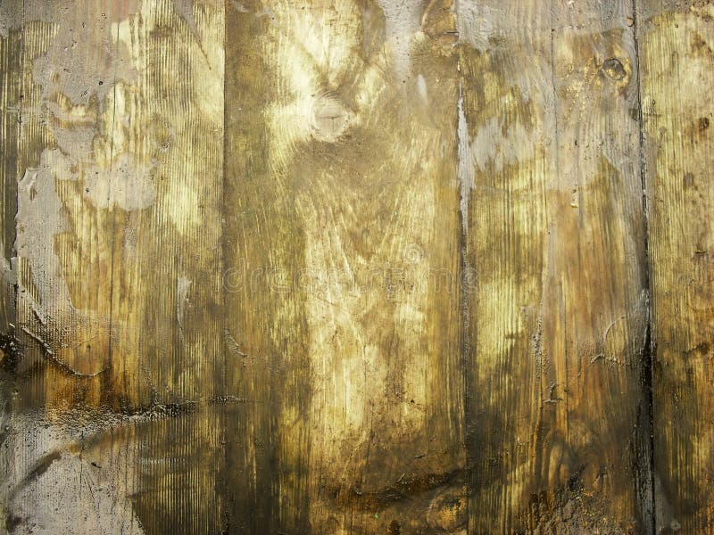 Wet wood texture stock image. Image of grunge, ridge - 80444671