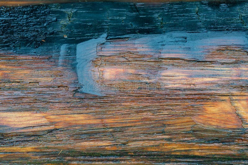 Wet Wood Texture. Nature Background Stock Photo - Image of nature ...