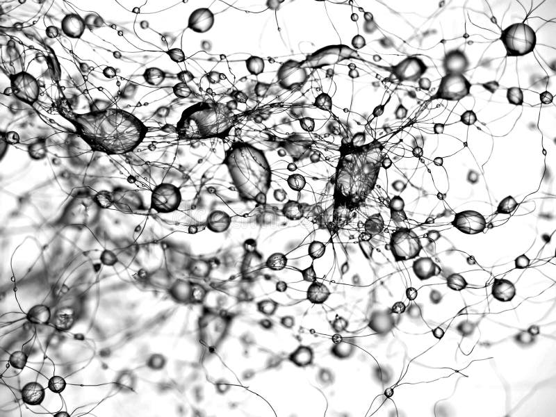 Wet wool stock image. Image of water, abstract, white - 11385473