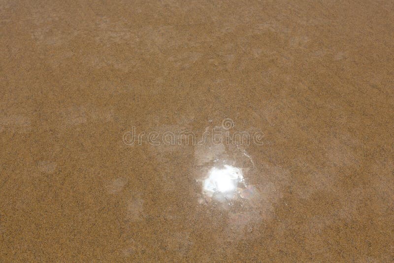 Wet Yellow Sand Background. Stock Image - Image of beach, recreation ...