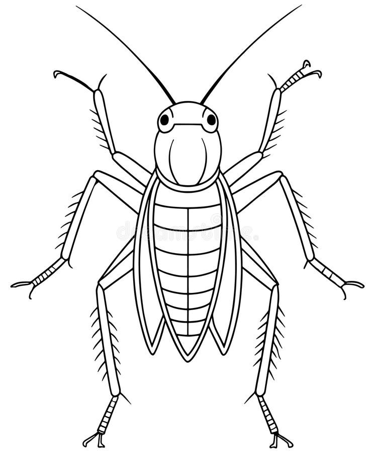Weta Stock Illustrations – 33 Weta Stock Illustrations, Vectors ...
