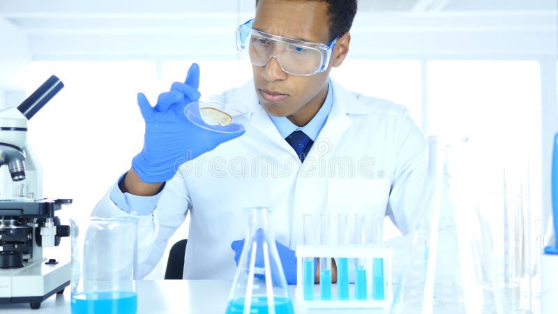 Wetenschapper Die in Laboratorium Reactie in Horlogeglas Bestuderen ...