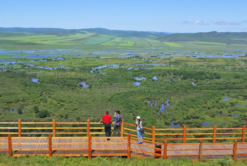 Wetland editorial image. Image of green, glade, land - 22058595