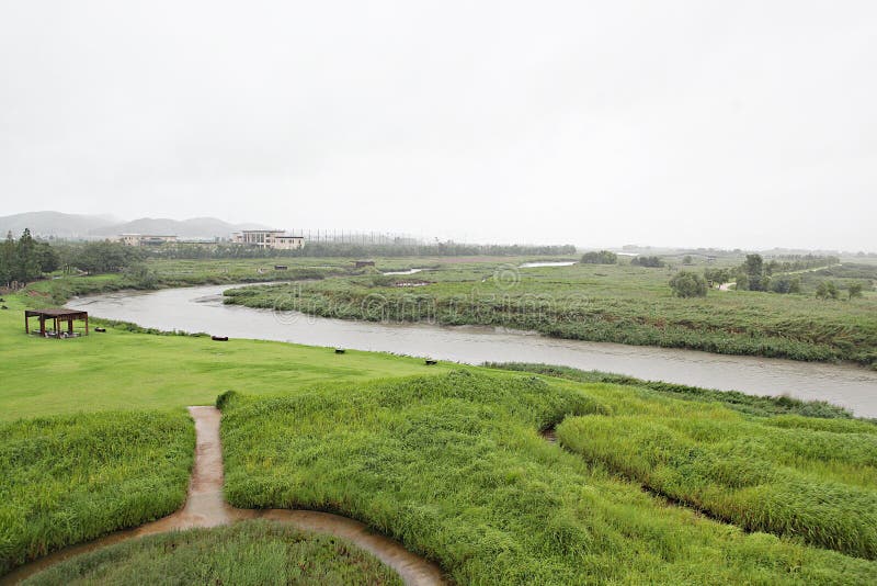 Korea ecological park stock photo. Image of ecolog, koreapark - 209178362