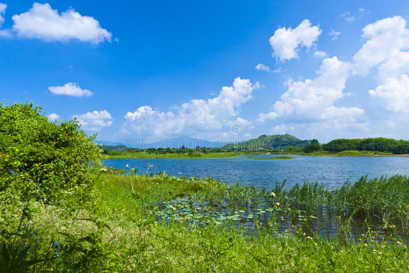 Wetland lake landscape stock photo. Image of landscape - 24139918