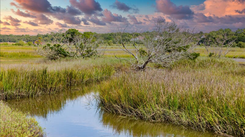 High Tide through Marsh at Dusk Stock Photo - Image of wetlands, grass ...