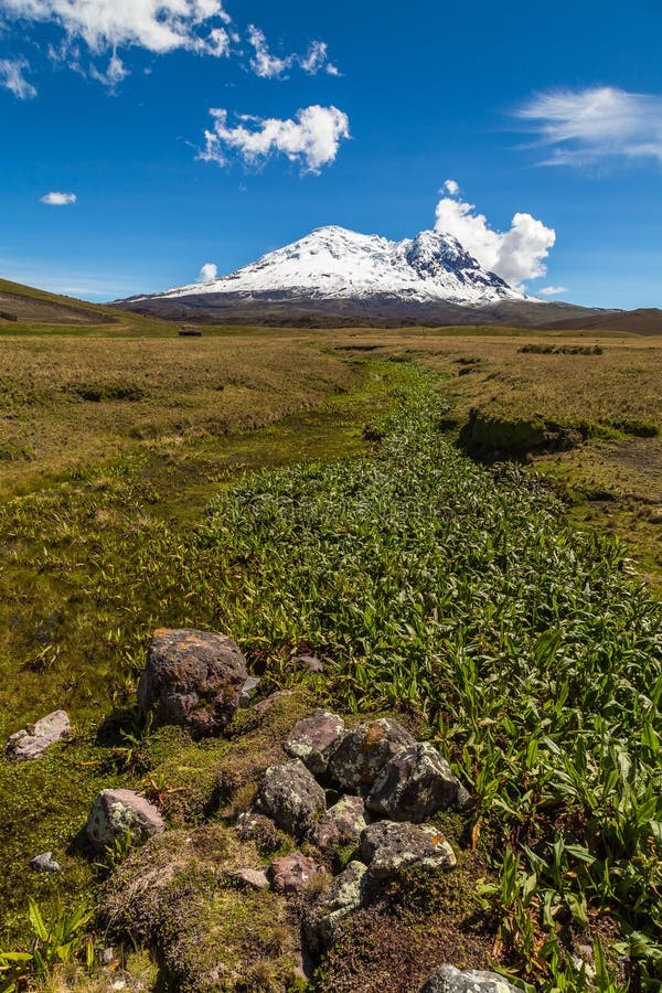 Wetland in the Paramos of the Antisana Volcano Stock Photo - Image of ...