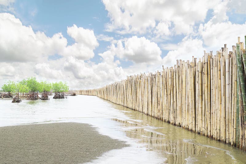Shore Protection Against the Waves. Breakwaters in the Port of Soller ...