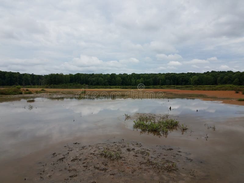 Wetland or Swamp with Red Algae Bloom and Water Stock Image - Image of ...