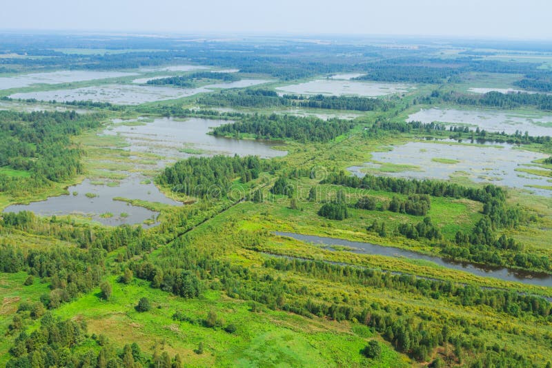Estuary stock image. Image of swamp, marsh, nature, river - 1078299